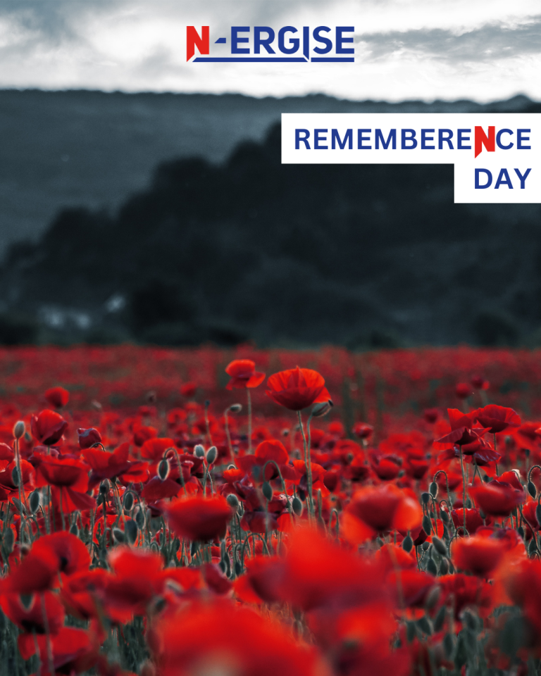 Remembrance Day 2025 | Honouring Bravery, Sacrifice, and Service | N-ERGISE